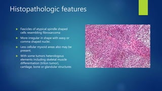 Benign and malignant nerve sheath tumors | PPTX