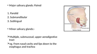 Benign and Malignant Salivary Glands Tumors.pptx