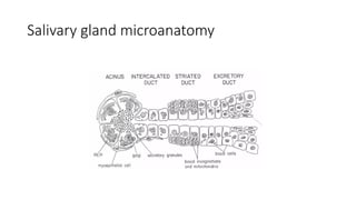 Benign and Malignant Salivary Glands Tumors.pptx