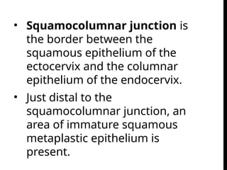 Benign and Malignant Tumors of the Cervix and.pptx