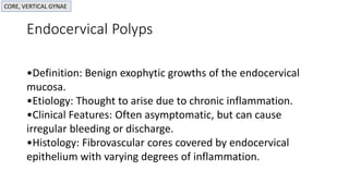 benign and premalignant lesions of cervix (2).pdf