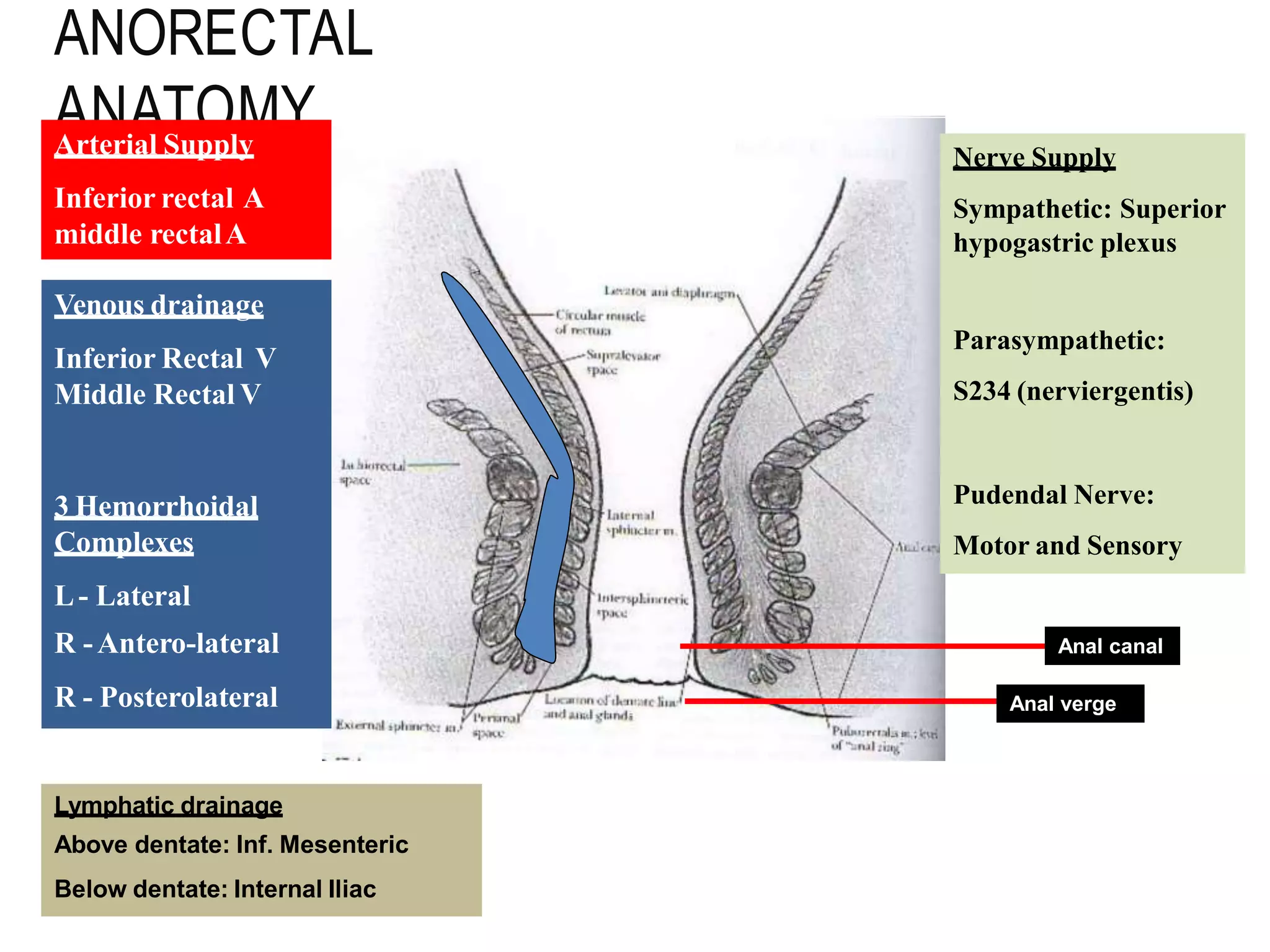 Benign Anorectal Conditions.pptx