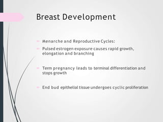 benign_breast_disease.pptx | Cancer | Diseases and Conditions
