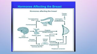 Benign breast disease and gynaecomastia.pptx