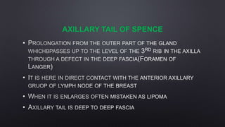 Benign Breast Diseases.pptx