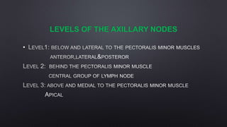 Benign Breast Diseases.pptx | Free Download