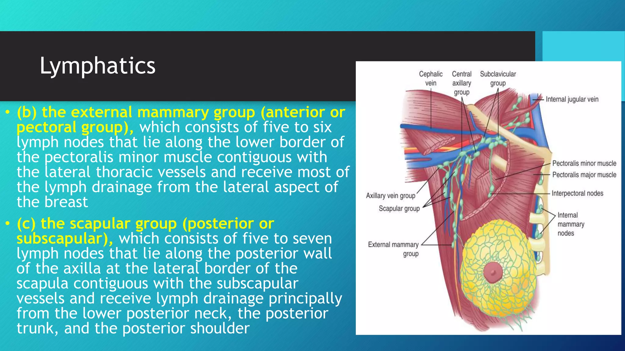 Benign breast lesions | PPTX