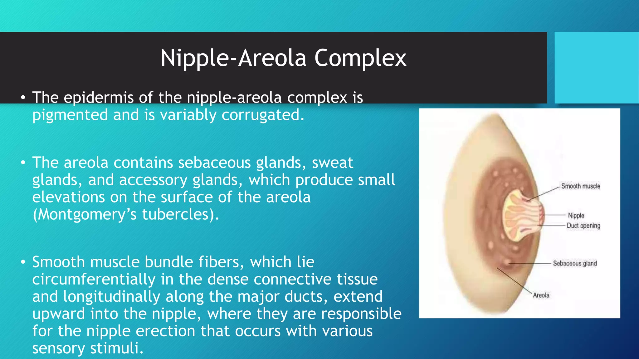 Benign breast lesions | PPTX