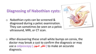Benign Cervical Lesions | PPTX