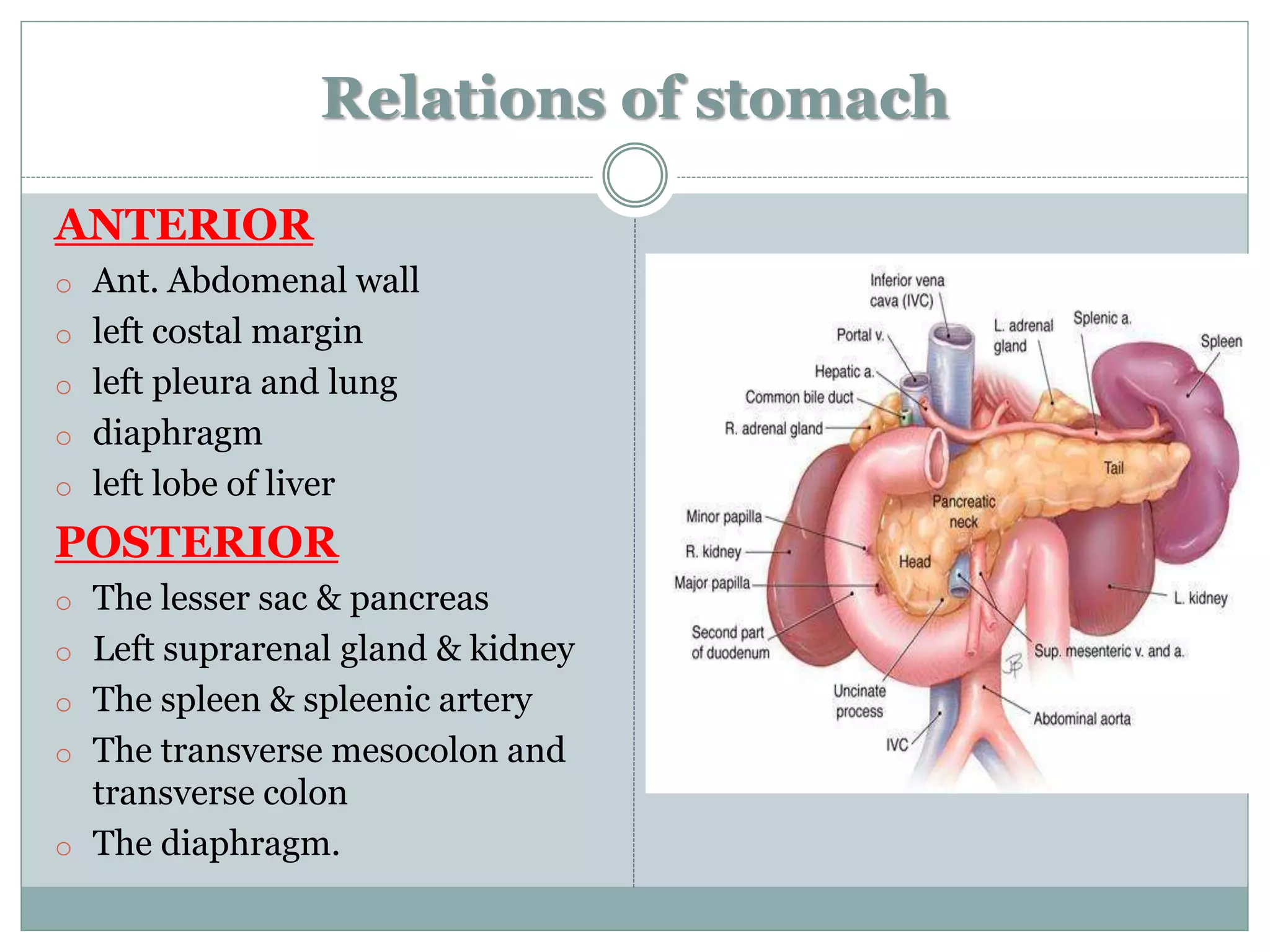 Benign diseases of stomach and management | PPTX