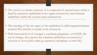 benign diseseDDDDDDDDDDDD of cervix.pptx