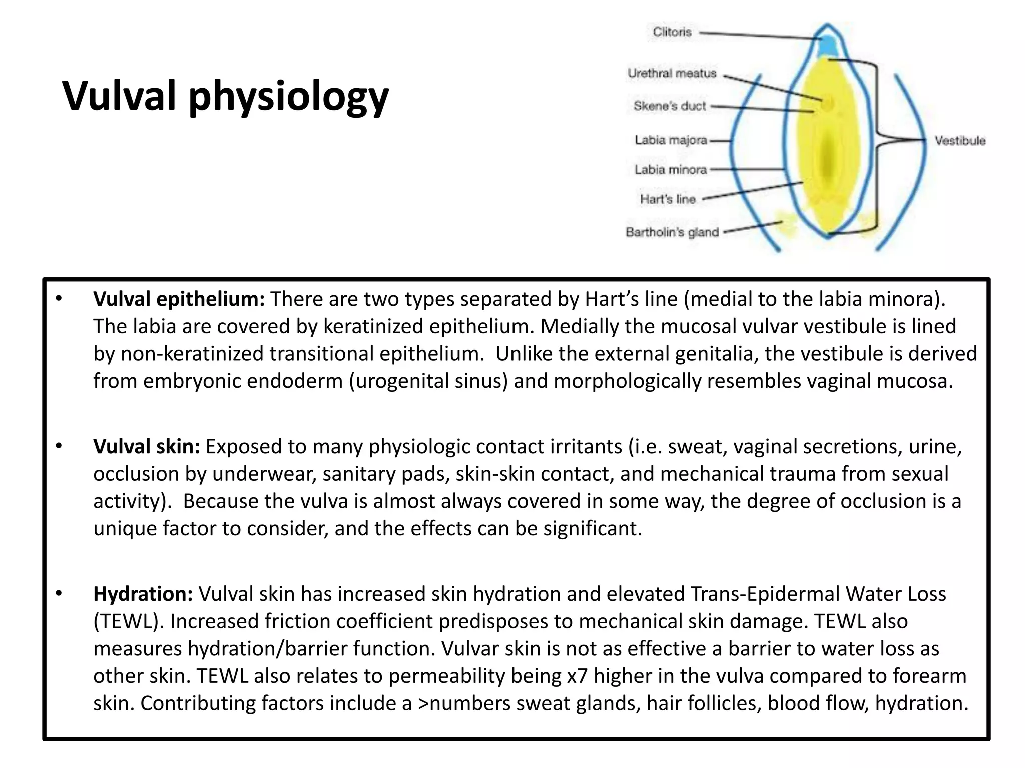 Benign Disorders of the Vulva: Pruritus (itchy) Vulva Vulval Skin and ...