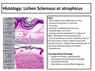 Benign Disorders of the Vulva: Pruritus (itchy) Vulva Vulval Skin and ...