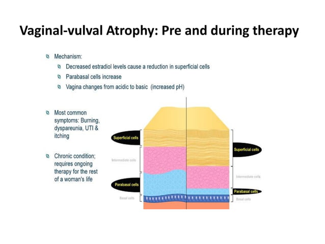 Benign Disorders of the Vulva: Pruritus (itchy) Vulva Vulval Skin and ...