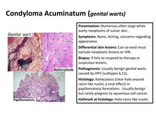 Benign Disorders of the Vulva: Pruritus (itchy) Vulva Vulval Skin and ...
