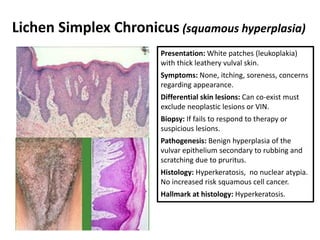 Lichen Simplex Chronicus Histology