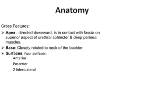 Benign enlargement of prostate | PPTX