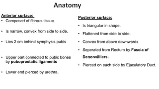 Benign enlargement of prostate | PPTX