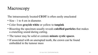 benign lesions-ceot,amelo,fibrooseous lesions.pptx