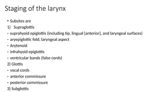 Benign lesions of larynx and vocal cords | PPTX