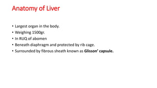 Benign & Infectious Diseases of Liver | PPTX | Medical Health