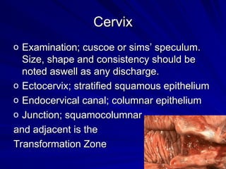 benignlesionsofthecervixvaginaandvulva-120205030502-phpapp02.ppt