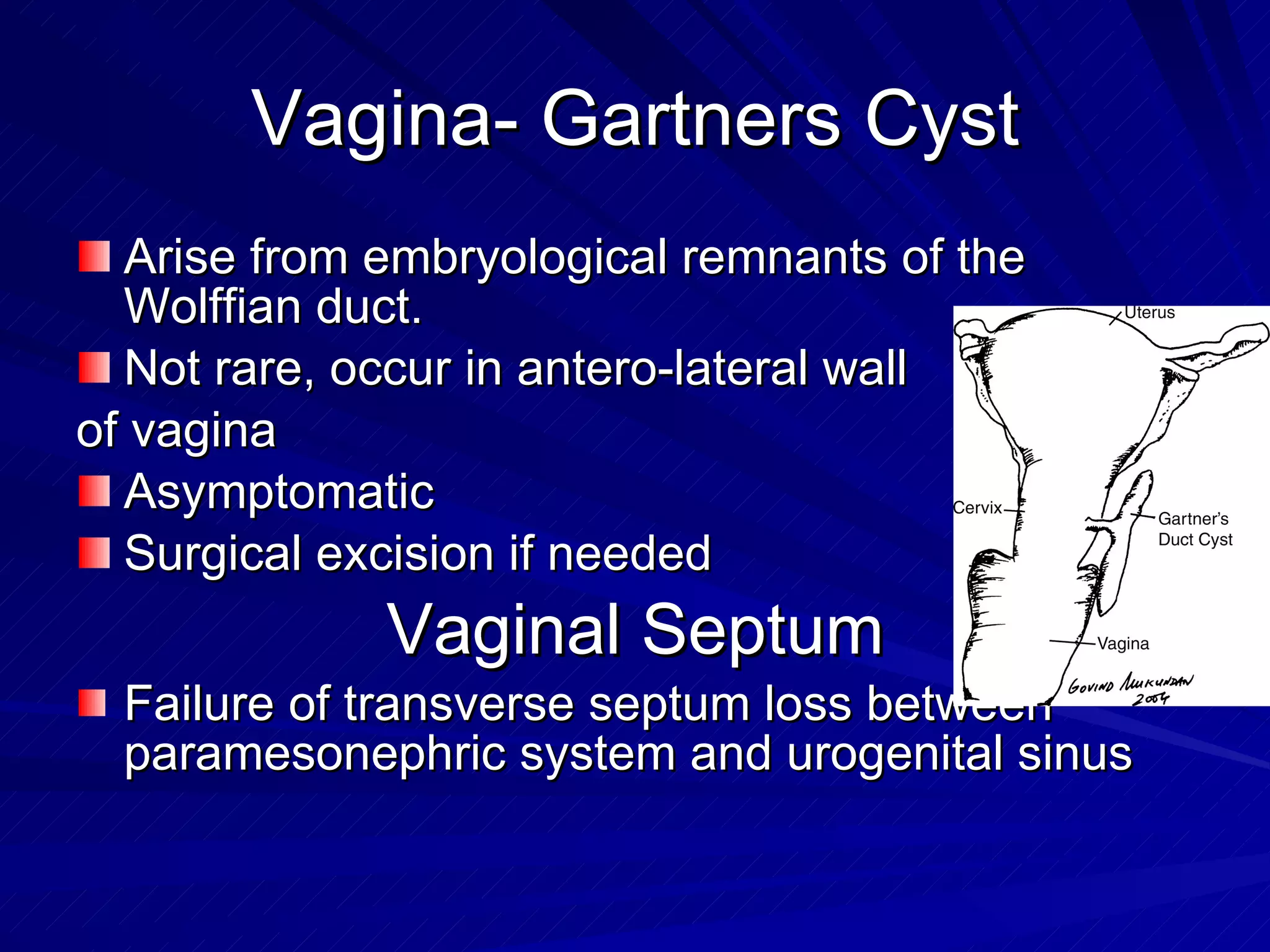 Benign lesions of the cervix, vagina and vulva | PPT | Sexual ...