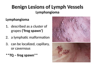 Benign Lesions of the Skin Clinical Pathology Study Questions_Mari ...