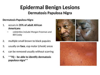 Benign Lesions of the Skin Clinical Pathology Study Questions_Mari ...