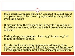 presentation of benign neck diseases by dr. falaq faiyaz | PPTX
