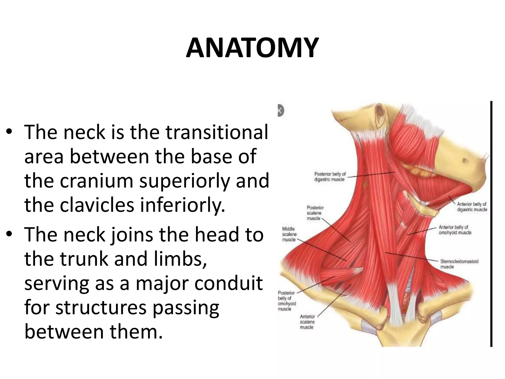 Benign neck mass | PPTX | Thyroid Disorders | Endocrine and Metabolic ...