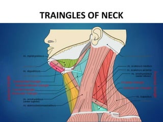 Benign neck mass | PPTX