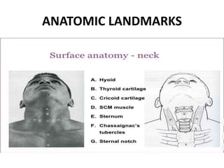 Benign neck mass | PPTX