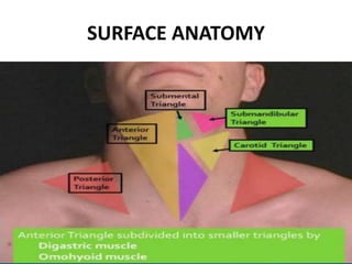 Benign neck mass | PPTX