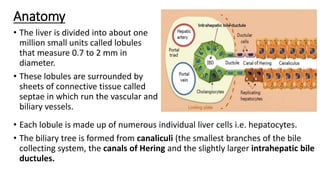 Benign neoplasms of liver | PPTX