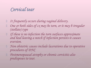 Benign n pre malignant diseases of cx | PPT | Reproductive Health ...