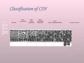 Benign n pre malignant diseases of cx | PPT | Reproductive Health ...