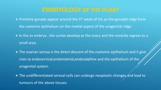 Benign ovarian tumours | PPTX