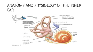Benign paroxysmal positional vertigo | PPTX
