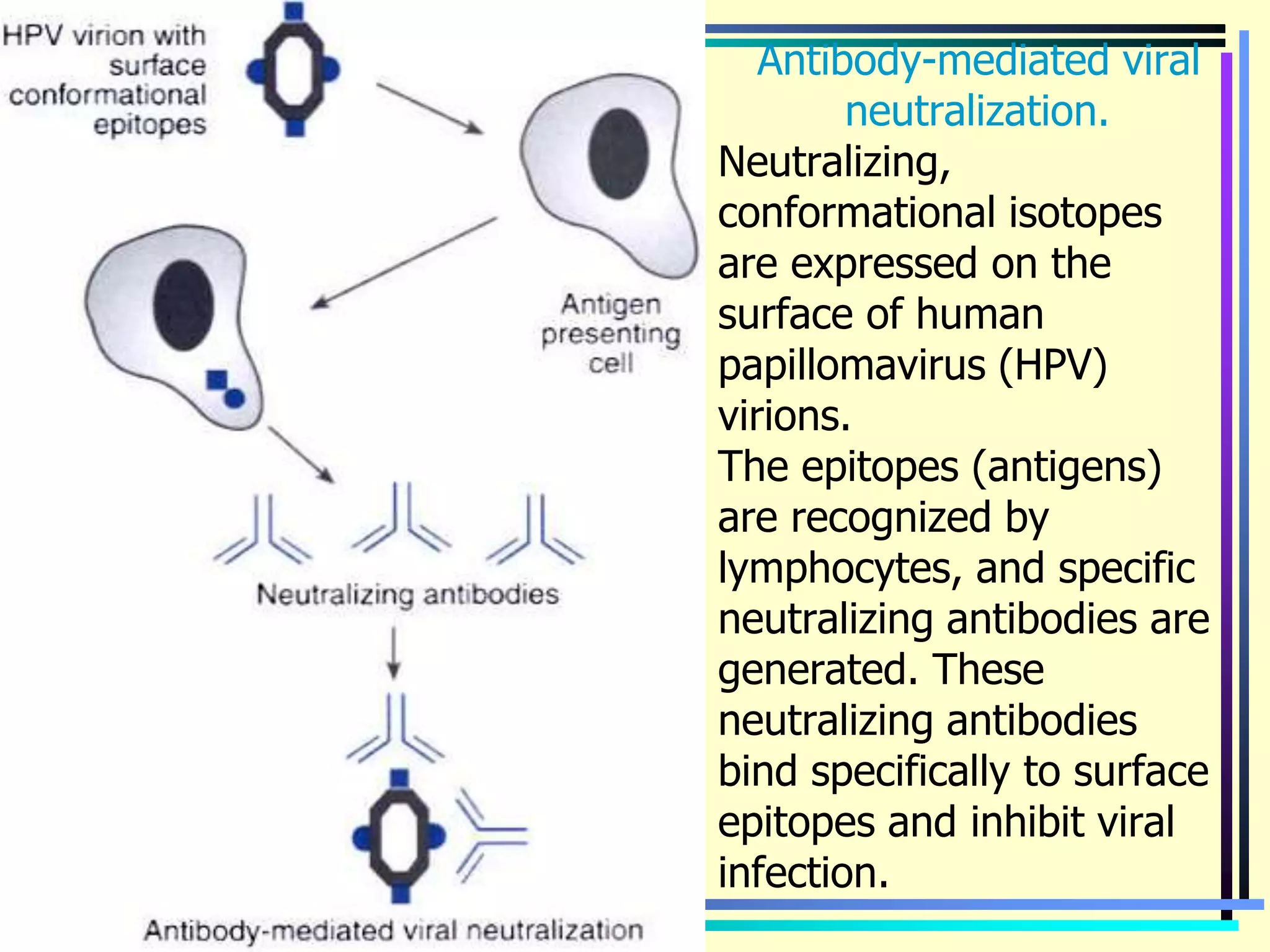 Benign & precancerous tumors of female genital organs | PPTX