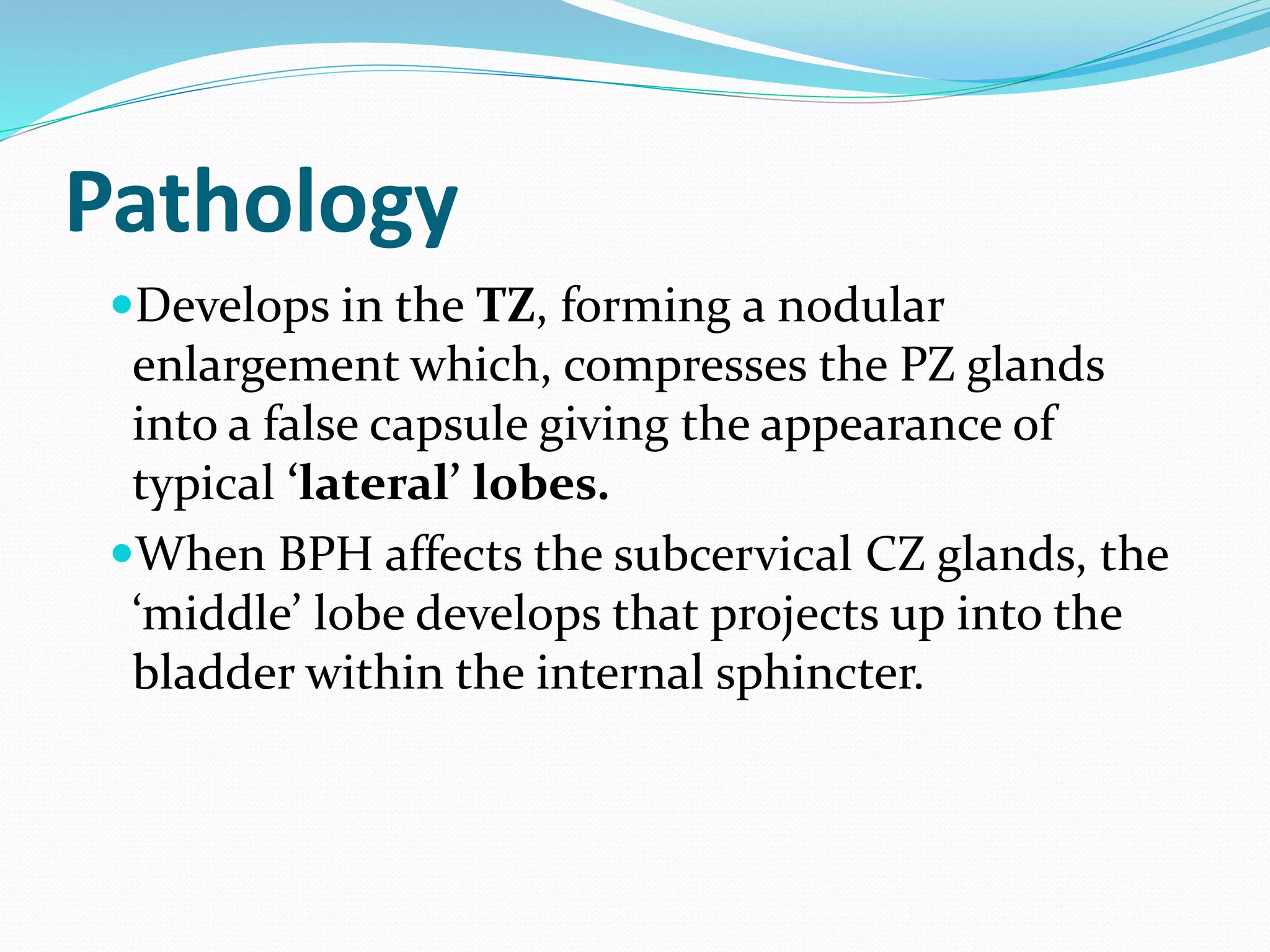 Benign Prostate Hyperplasia | PPTX