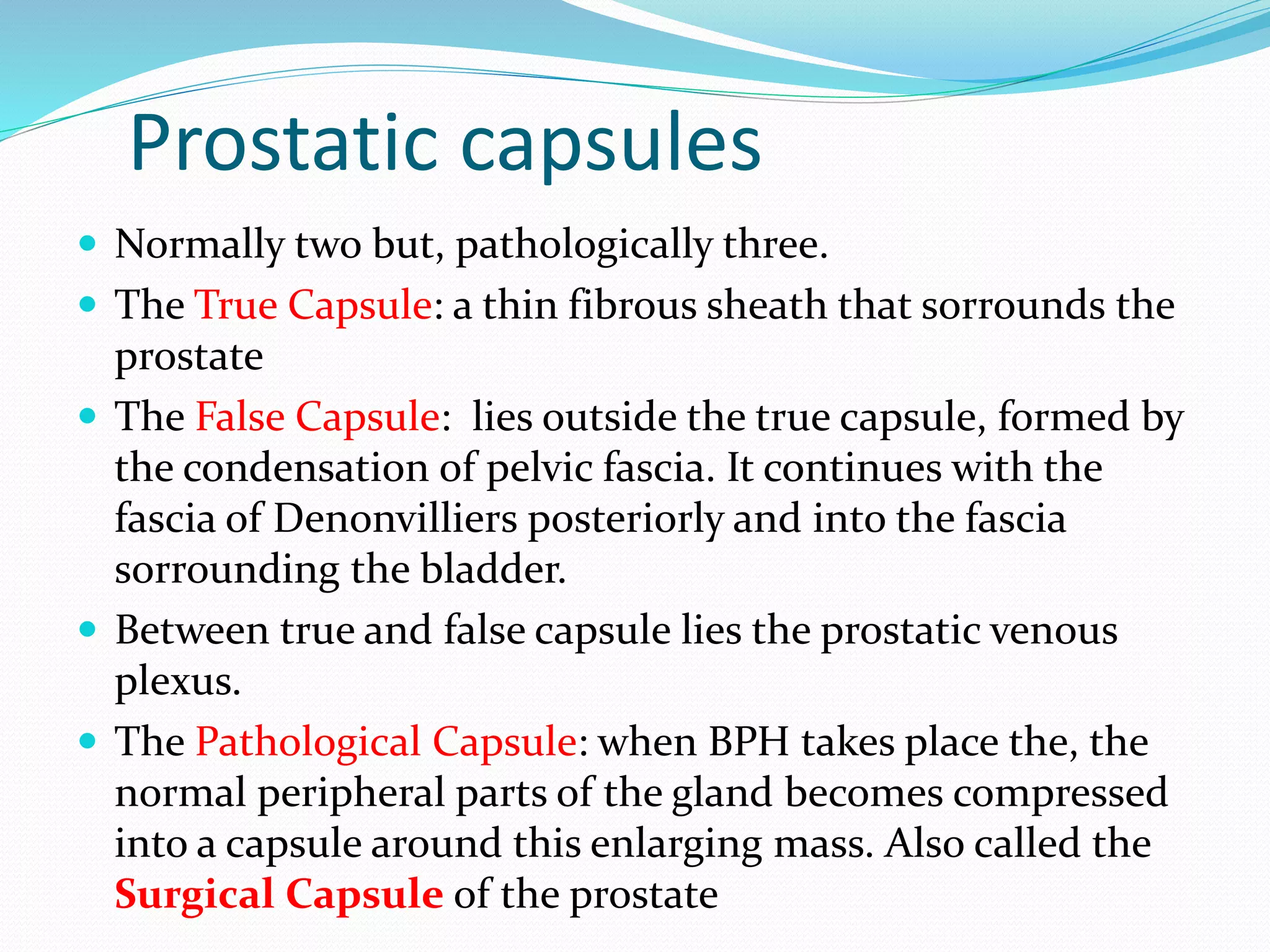 Benign Prostate Hyperplasia | PPTX