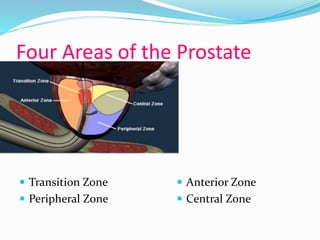 Benign Prostate Hyperplasia | PPTX