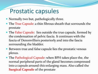 Benign Prostate Hyperplasia | PPTX