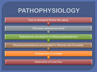 Benign Prostatic Hyperplasia Pathophysiology Diagram