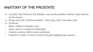 Benign Prostate Hyperplasia (BPH) notes. | PPTX