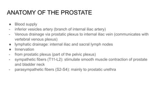 Benign Prostate Hyperplasia (BPH) notes. | PPTX