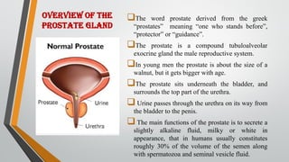 BENIGN PROSTATE HYPERTROPHY.pdf