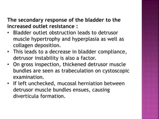 Benign prostatic hyperplasia | PPTX