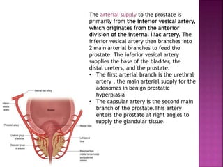 Benign prostatic hyperplasia | PPTX